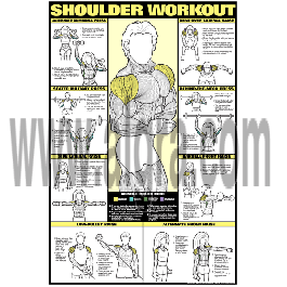 shoulder workout chart hd