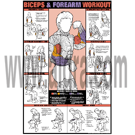 bicep poster