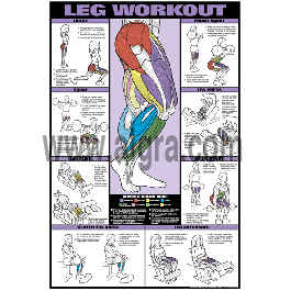 Leg Workout Chart