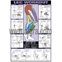 Leg Exercise Chart