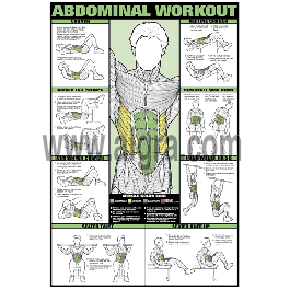 Abdominal Workout Poster